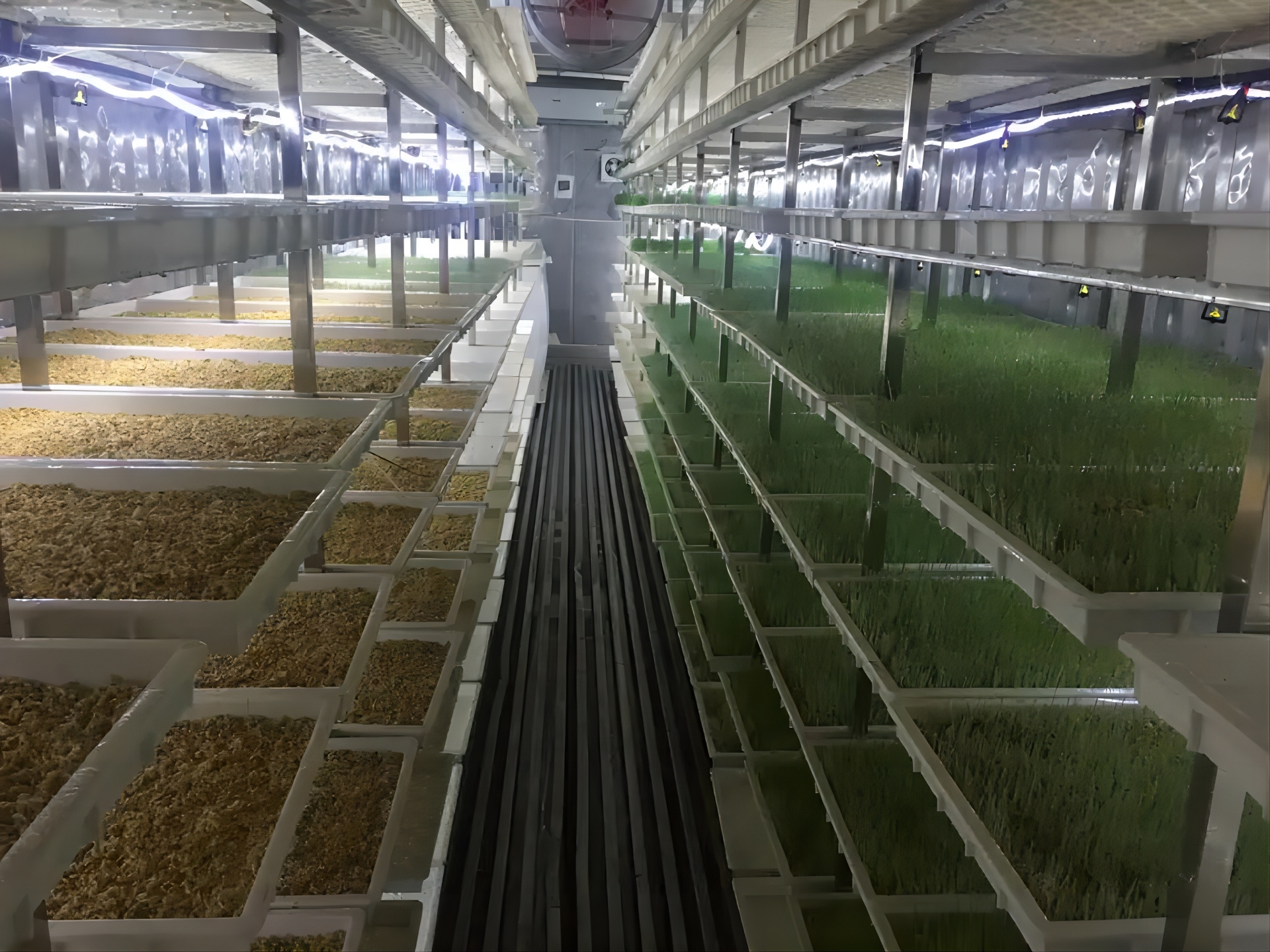 Containerized Hydroponic Barley Forage from China manufacturer ...